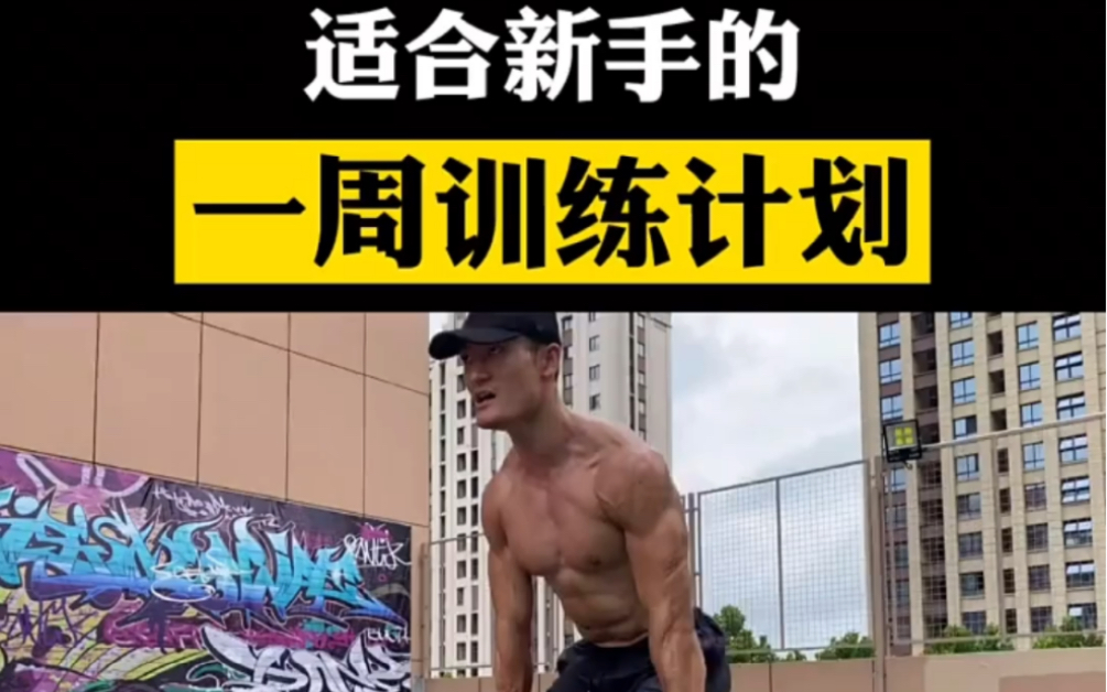 适合新手的一周训练计划:周一,胸部周二,背部周三,肩部周四,手臂周五,...