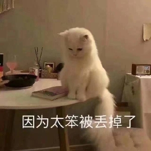 送小娃 
