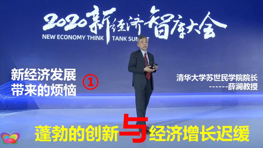 2020新经济智库大会┃清华大学薛澜教授:免费模式与经济增长悖论