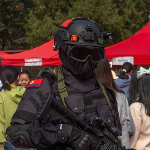 缩成球的小仓鼠 