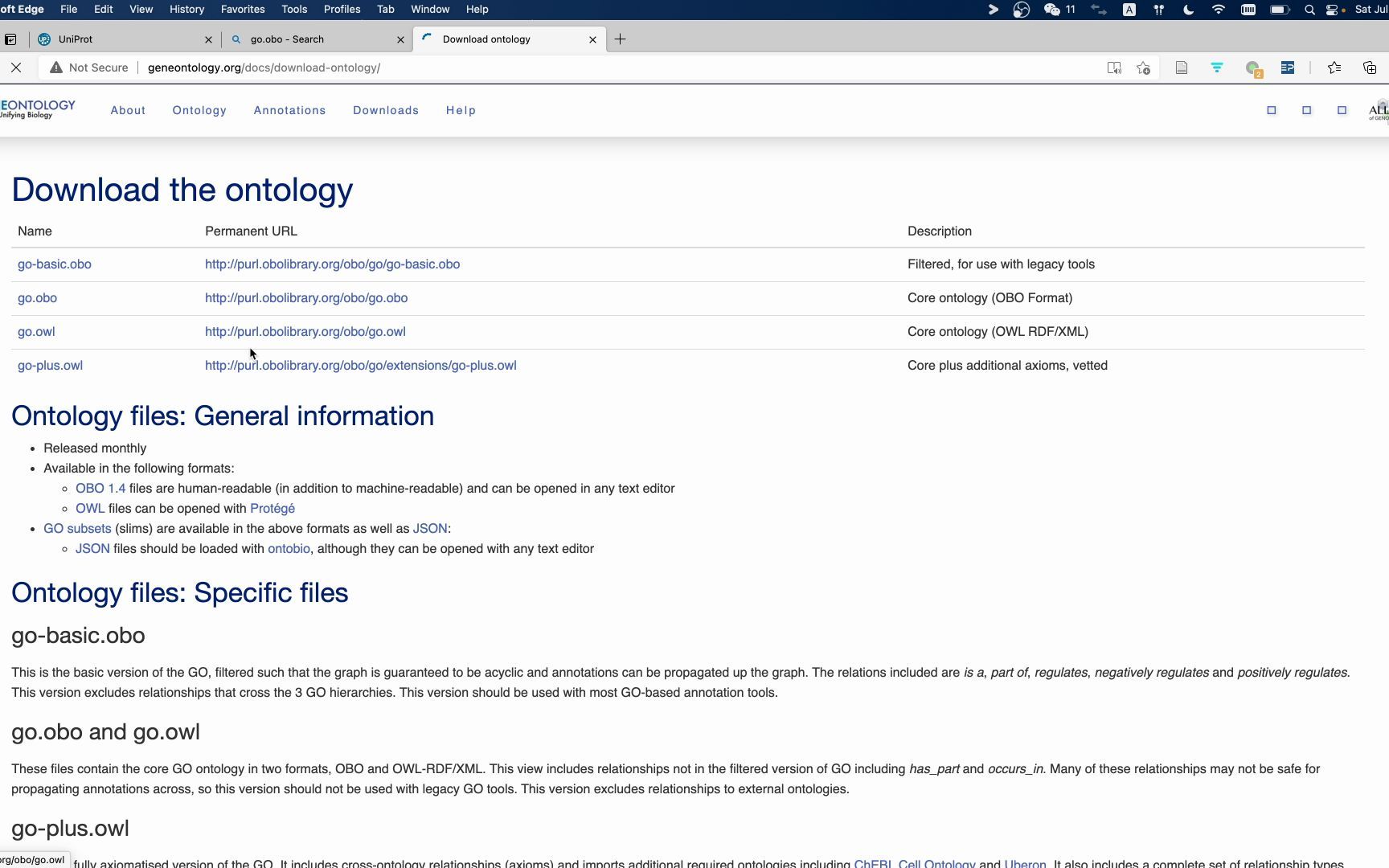 TBtools命令行批量GO富集分析