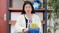 室内装饰设计师证有用吗?室内装饰设计师证书含金量?#室内装饰设计...