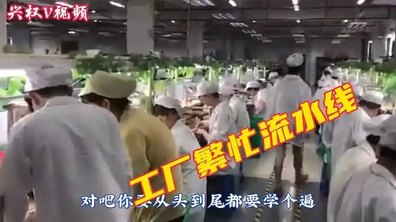 打工上班族,工厂繁忙的流水线,看看工作并不轻松