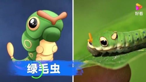 那些现实中的口袋妖怪,皮卡丘的原型竟然是变异负鼠,真是黄色?