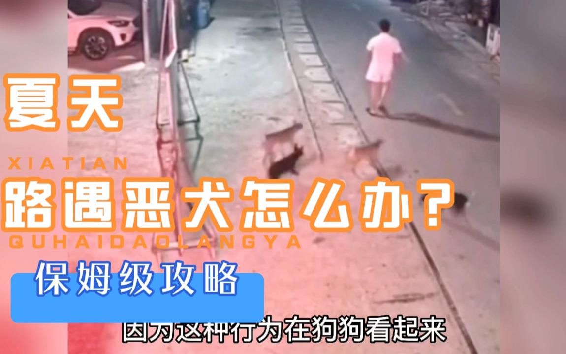 路遇恶犬,被狗追咬怎么办,如何正确自救?
