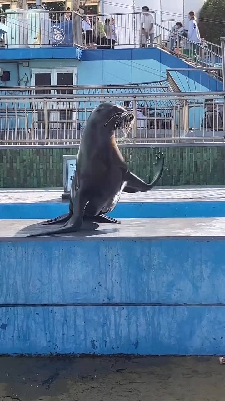 保护好生态环境