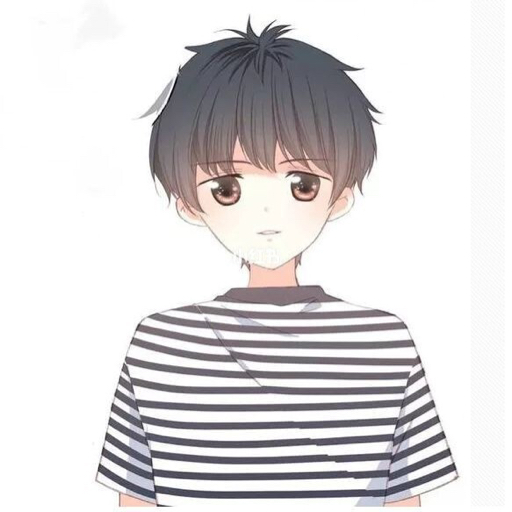羽申羽申 