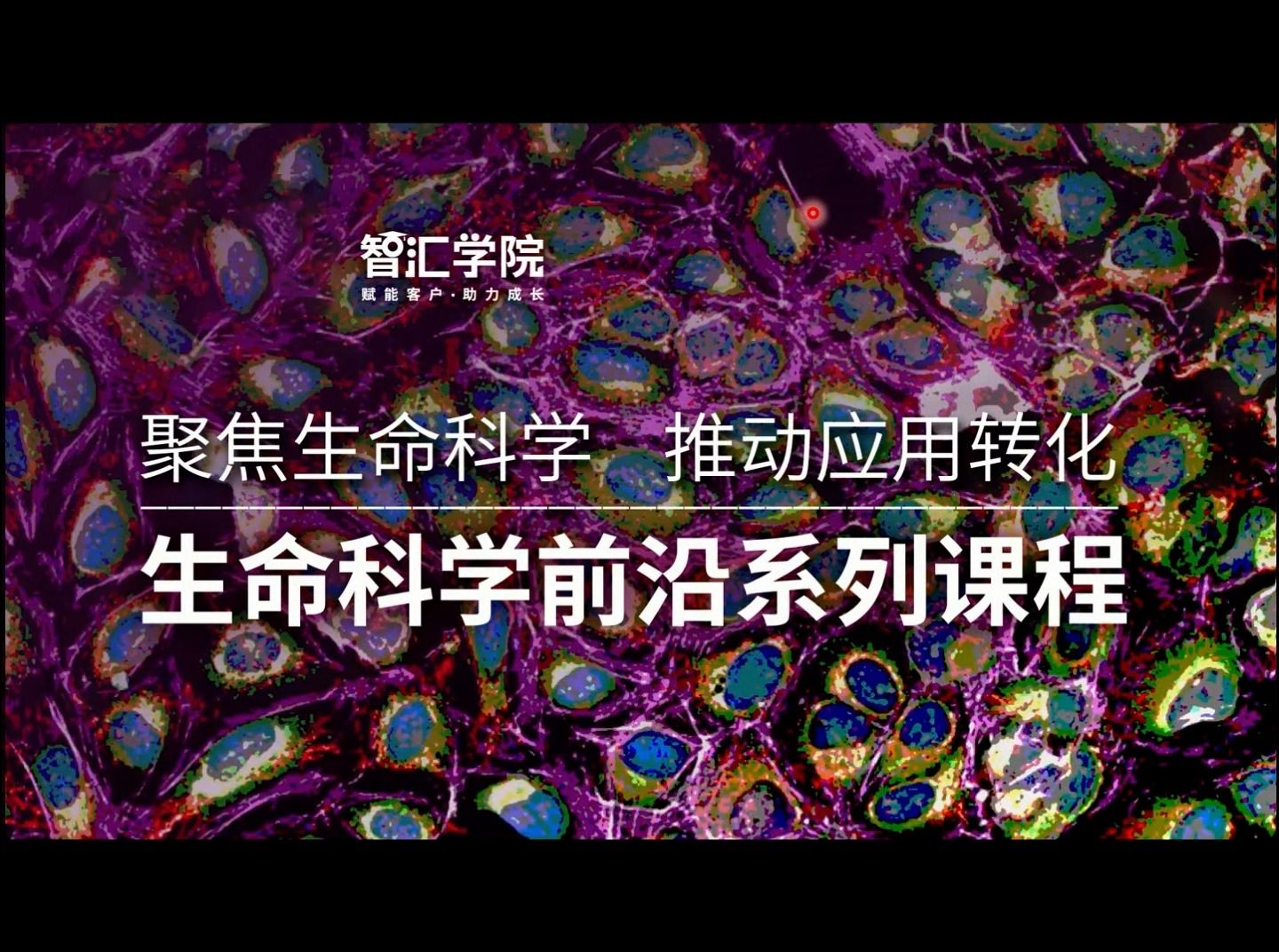 细胞治疗前沿研究解读