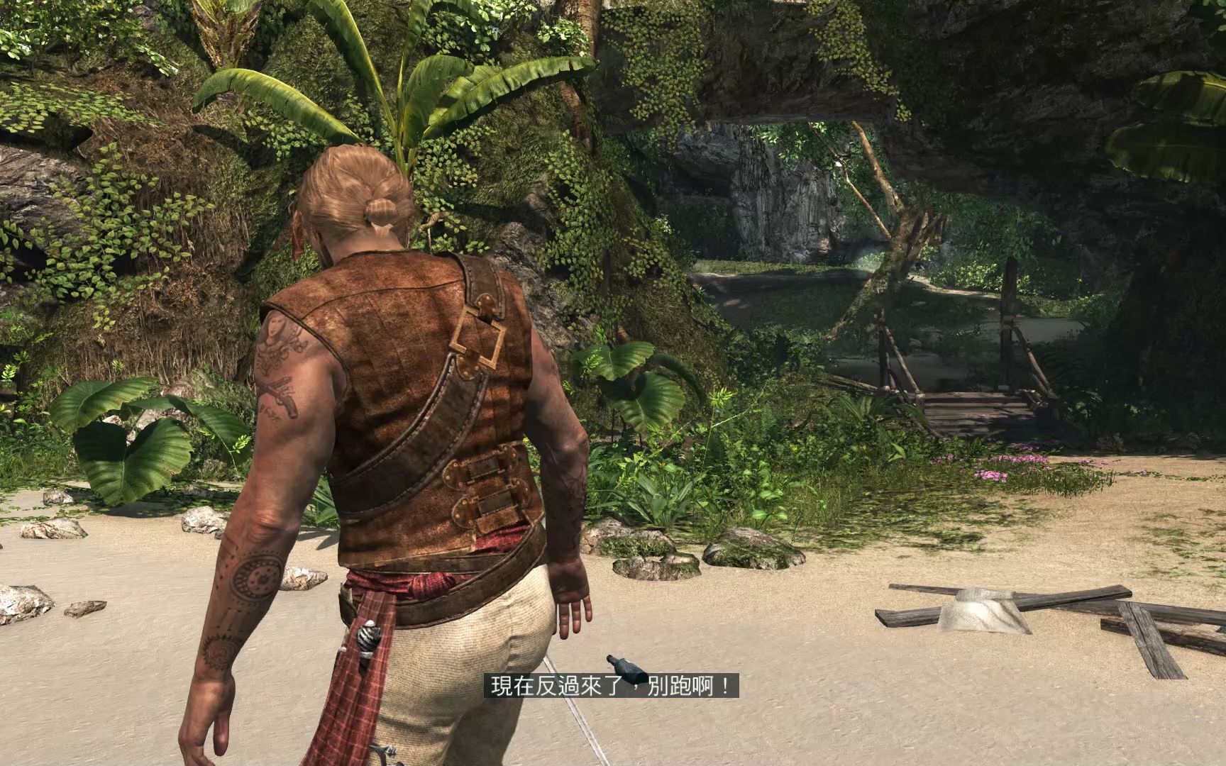 随便玩玩,刺客信条黑旗