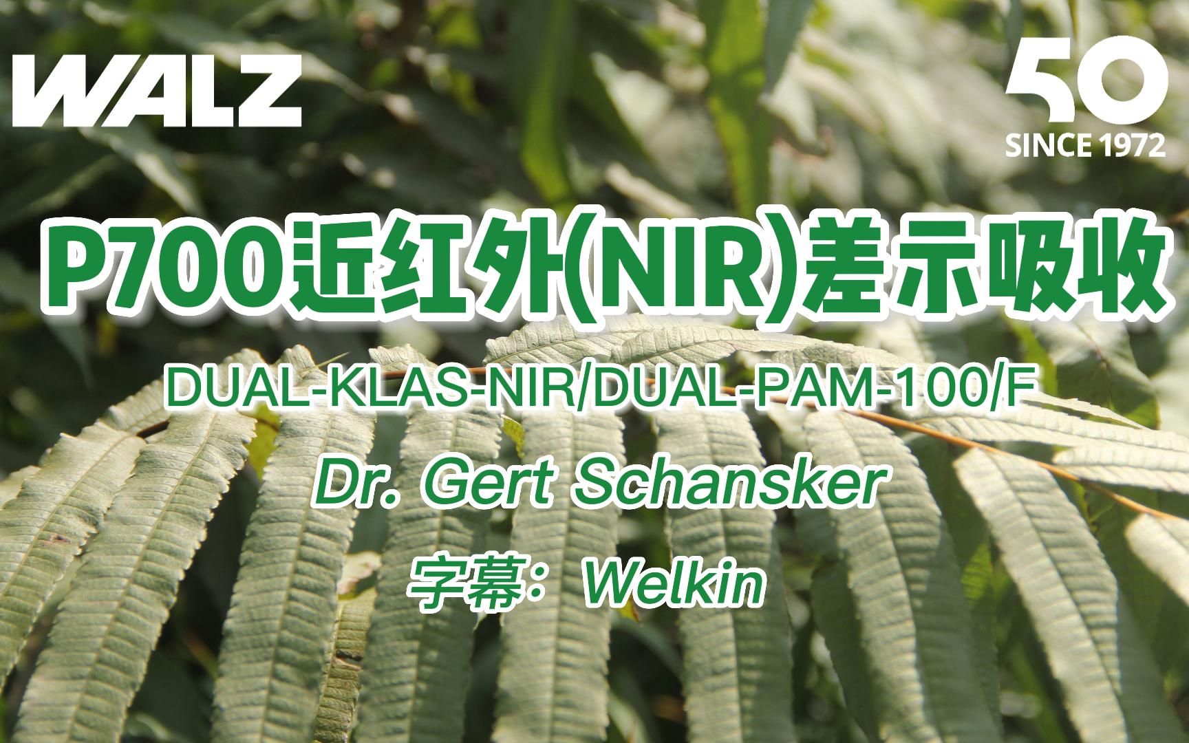 近红外差示吸收(P700/PC/Fd)测量原理及DUAL-PAM-100入门教程