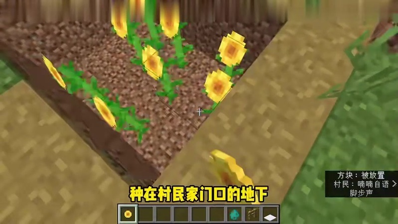 我的世界盔甲架跳舞机向日葵陷阱这几个MC离谱特性你都见过吗