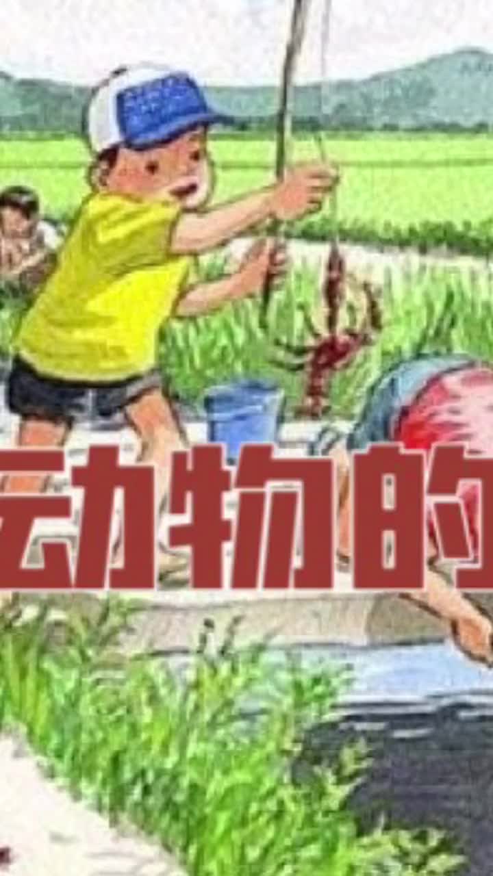 无实物表演有人说这是歌词最简单的一首儿歌了童心陪伴趣造世界翻