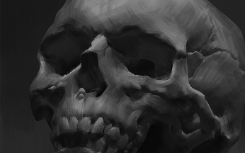 【PhotoShop素描写生】头骨素描写生