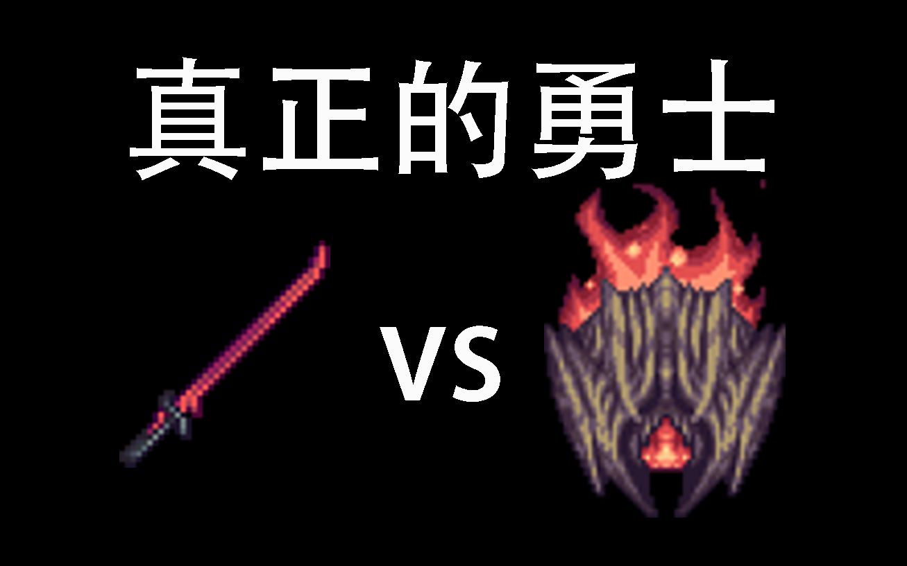 【泰拉瑞亚】灾厄死亡模式 奇迹?b站第一人 真实近战vs终灾