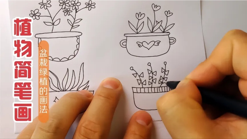4种盆栽绿植的画法