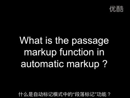 什么是自动标记模式中的“段落标记”功能?