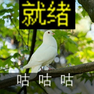 核平主义者SY 