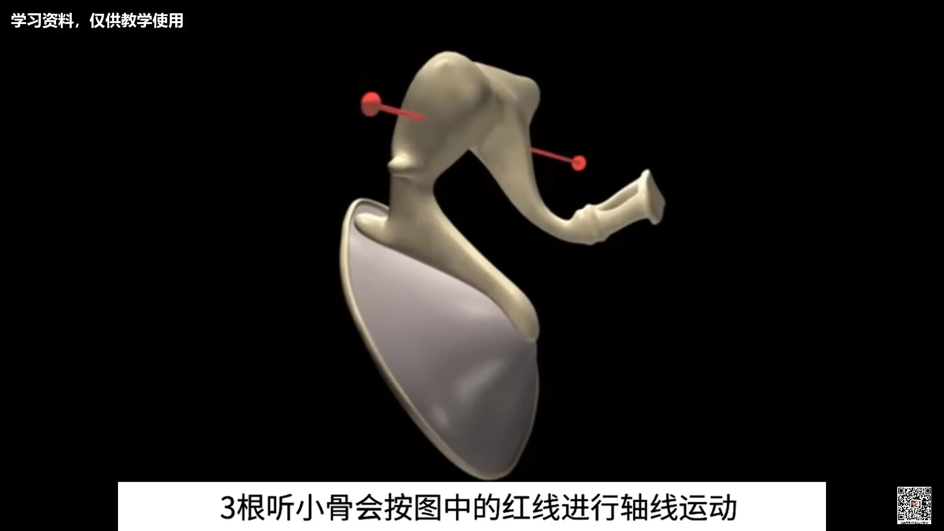 正常听觉传导通路