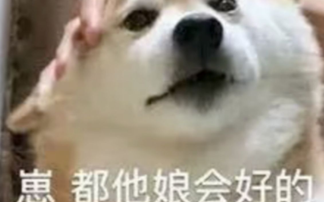 为 什 么 要 高 考 啊 !