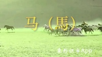 【象形识字】马的字源动画 马的古文动画 汉字动画很有趣 孩子学习...