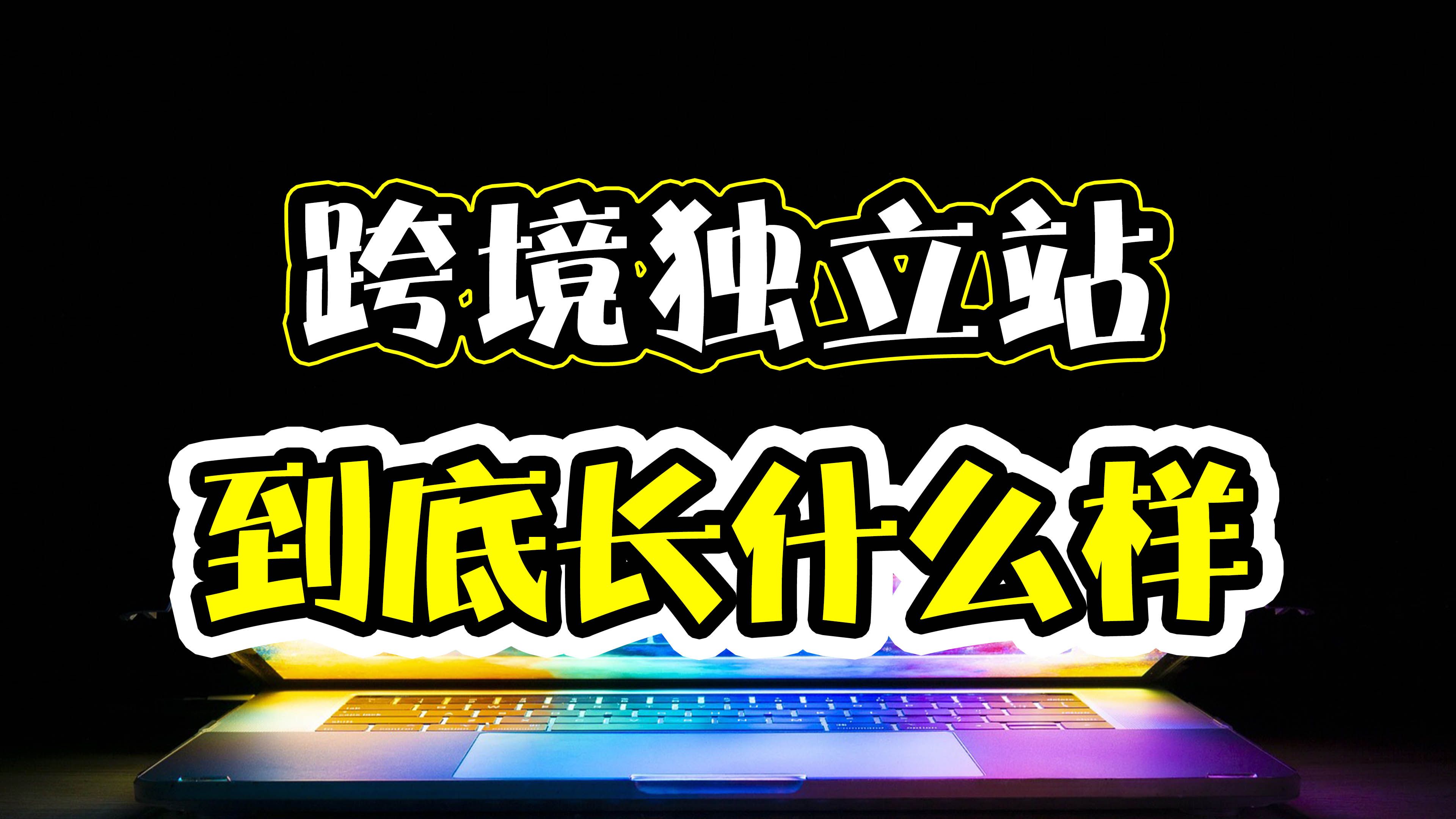 跨境电商独立站,到底长什么样(上集)?地球村建站课程,第三集。