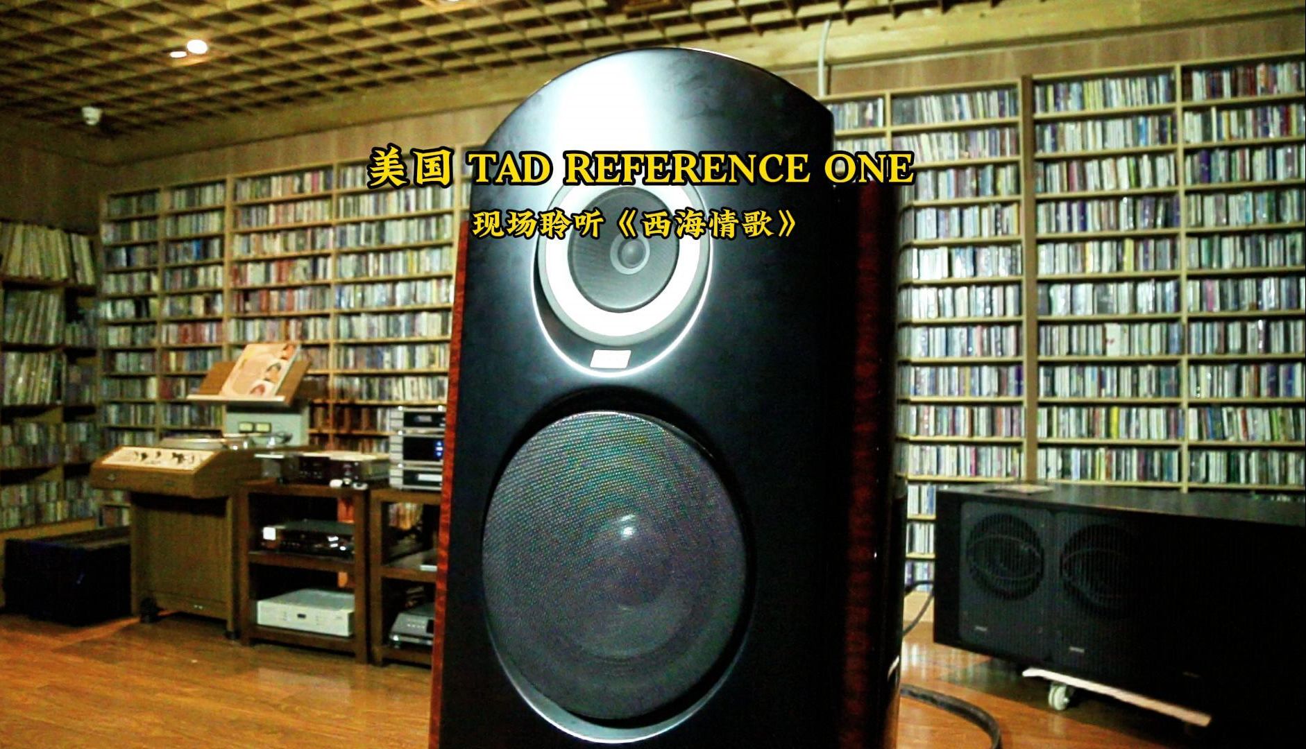 美国 TAD REFERENCE ONE 现场聆听 :(西海情歌)