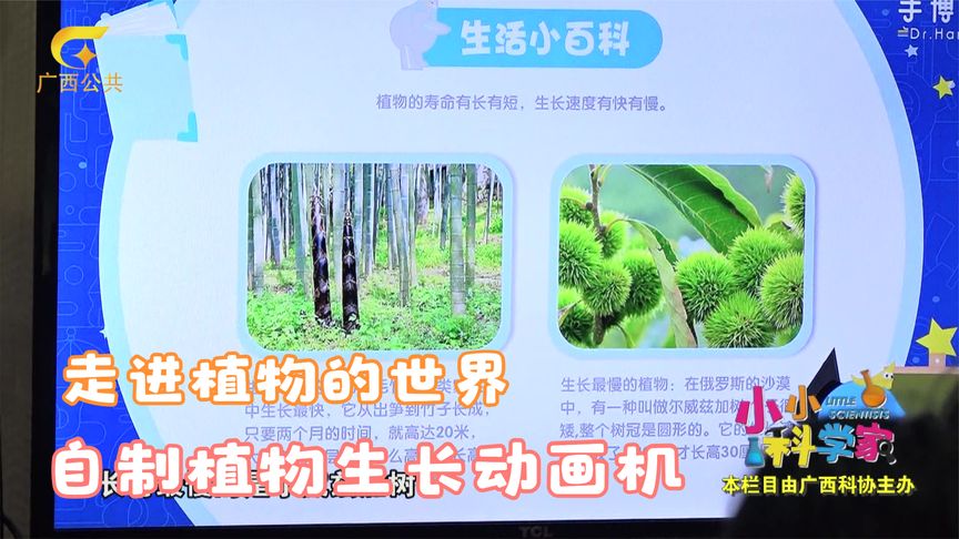走进植物的世界,自制植物生长动画机