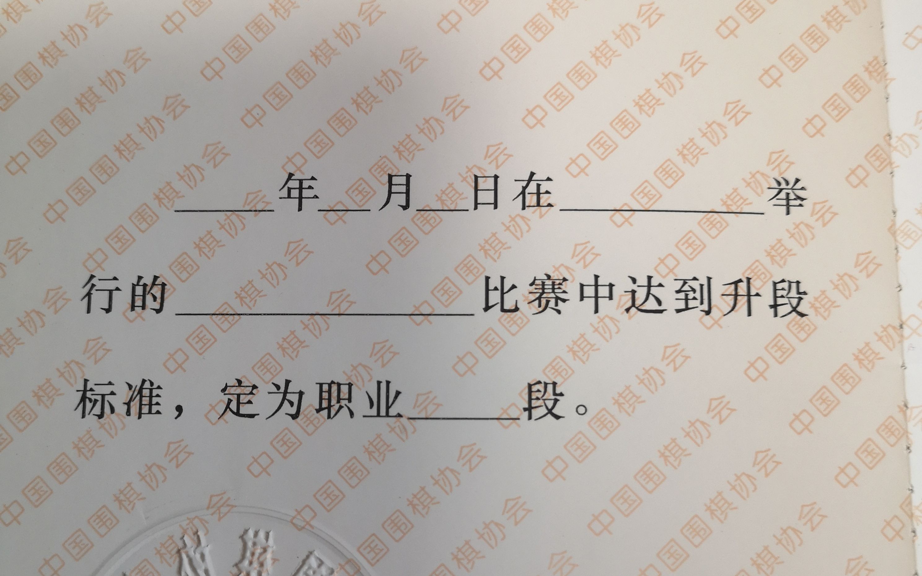 近二十年职业棋手发展方向与影响因素浅谈