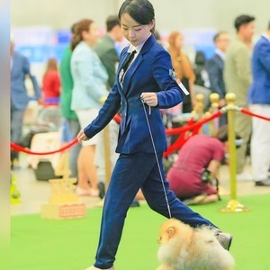 芳芳精华博美 