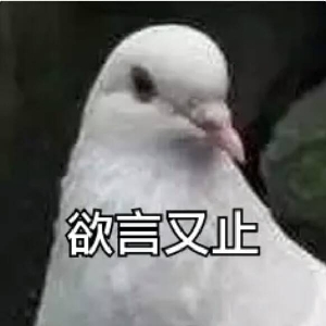 pigeonkinnnng 