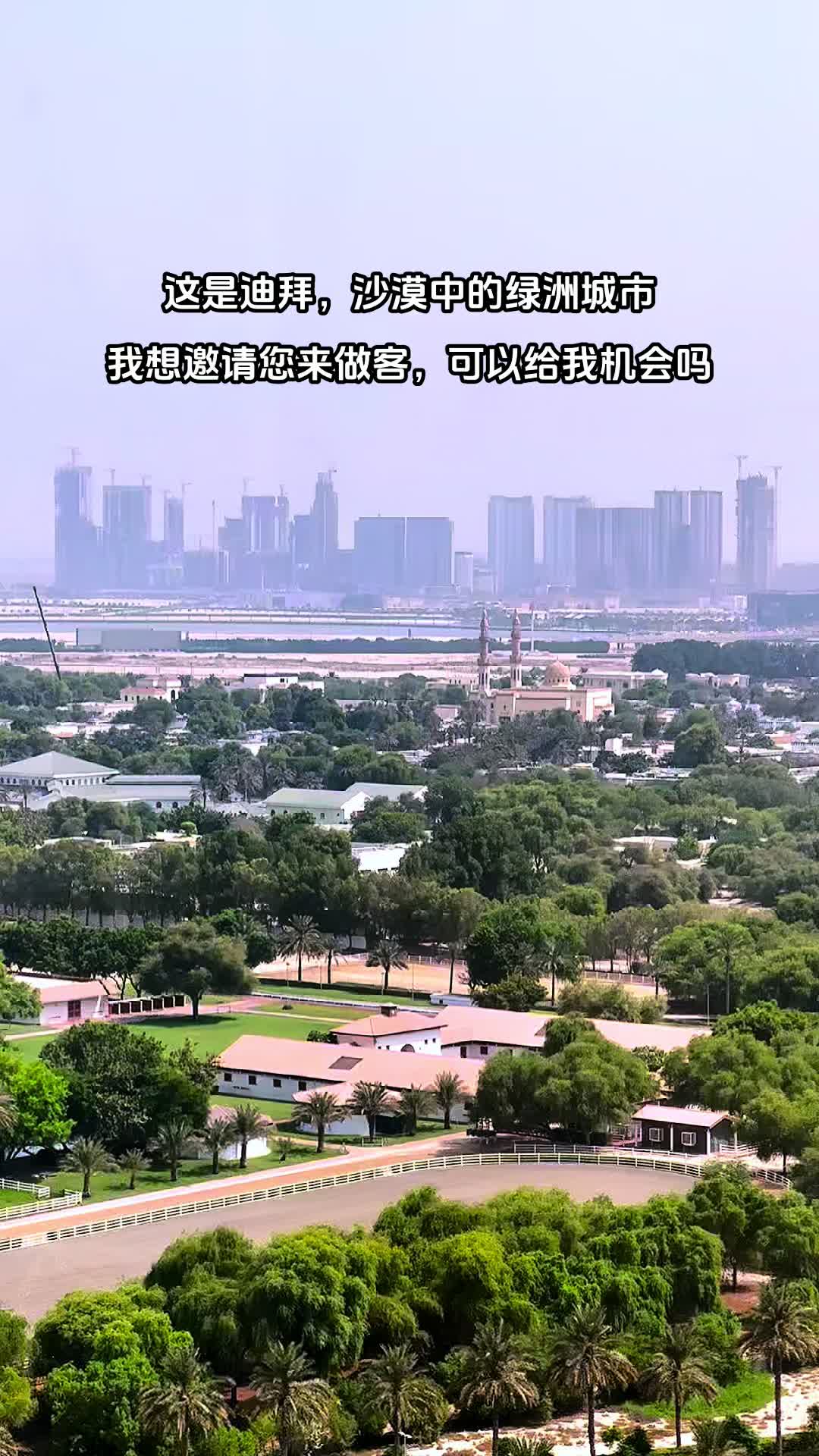 ...真诚的邀请你来迪拜聚福酒楼做客,能给我机会吗#天猫双11抄省清单 ...