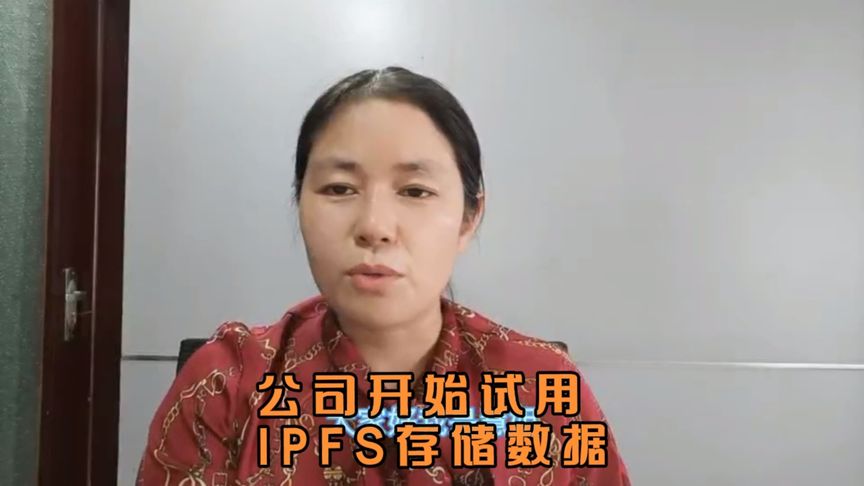今天李总开始搭建服务器,用IPFS作为我们一些系统的数据存储