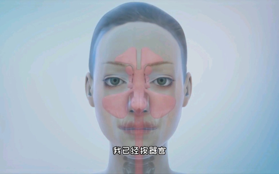 鼻涕如何产生,感冒快好了为什么流浓鼻涕,3D演示。