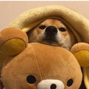 崔啊崔z 
