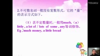 初中英语语法系列微课,不可数名词量的表达
