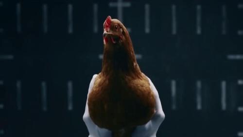 鸡头稳定性这么牛?为什么无论怎么晃它,鸡头都能稳定不动?