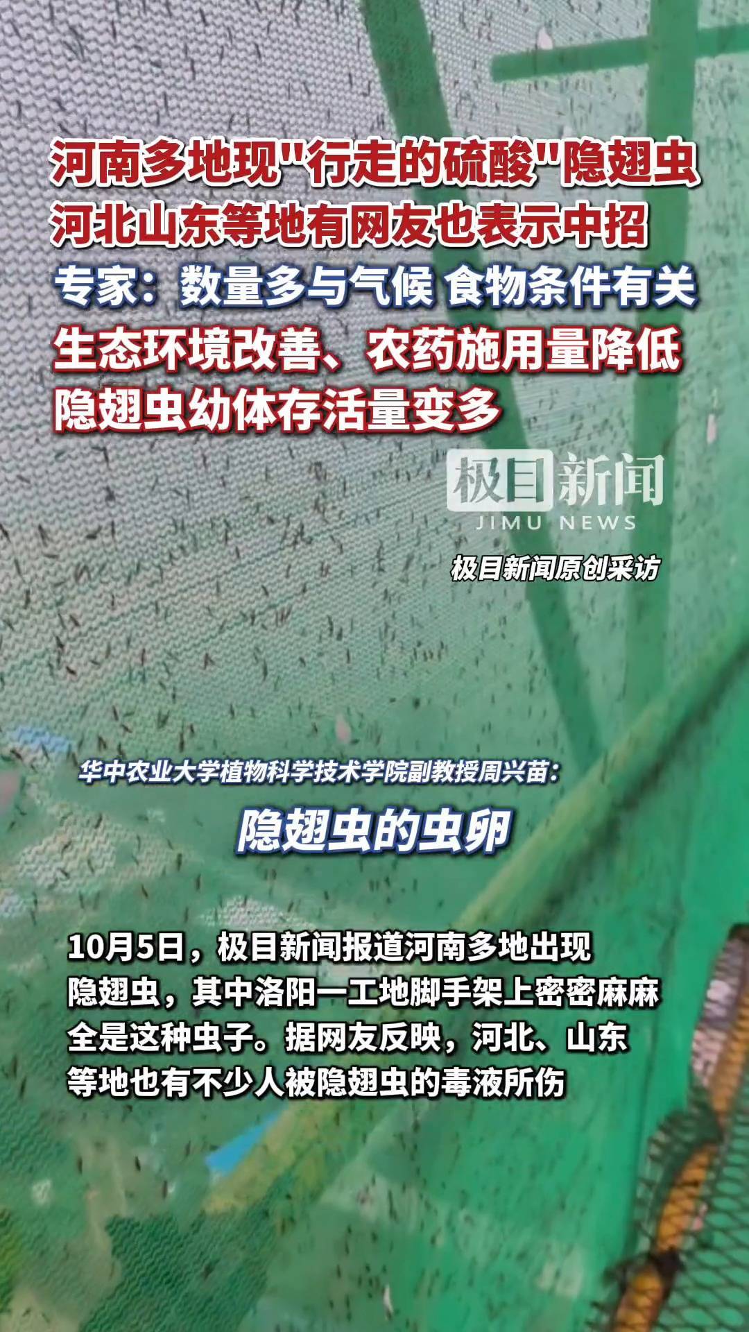 "河南多地现行走的硫酸"冲上热搜第一,河北山东等地网友表示中招!...