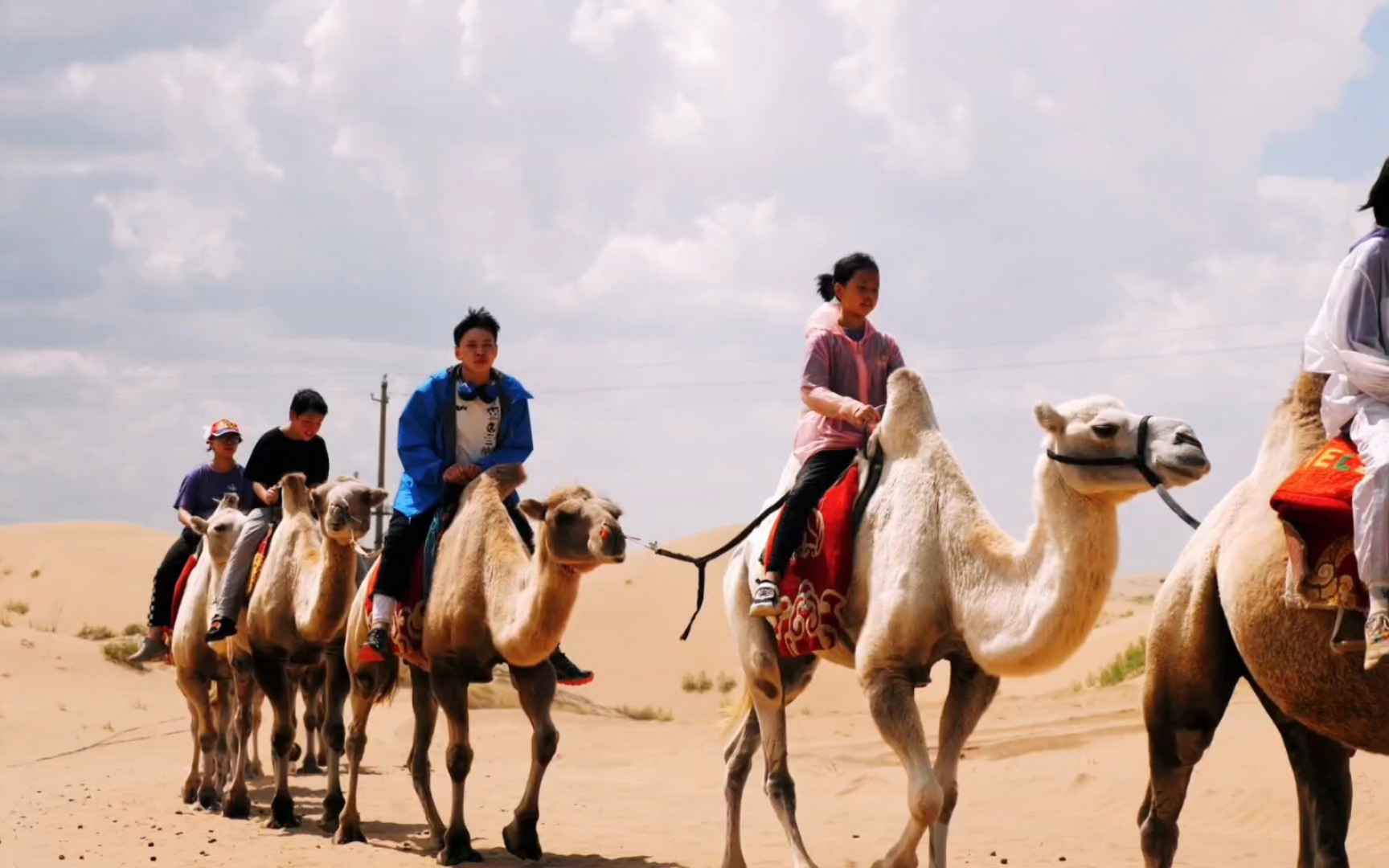 沙漠草原夏令营,研学旅行