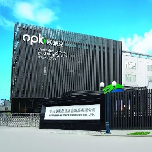 欧派克家居木门玻璃门 