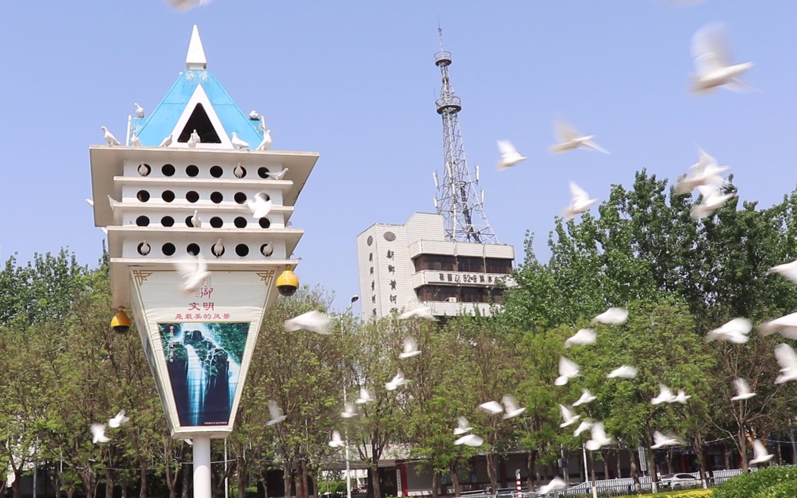 旅拍|新乡宣传片最新出炉,看看这些地方你都认识吗~