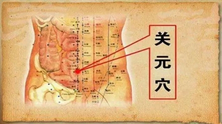 关元穴的位置和作用