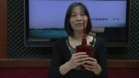 物理微课 视频实录 力的作用效果