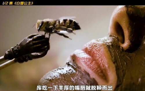 全集丨王后为了变成美女不择手段你好创作人成长计划