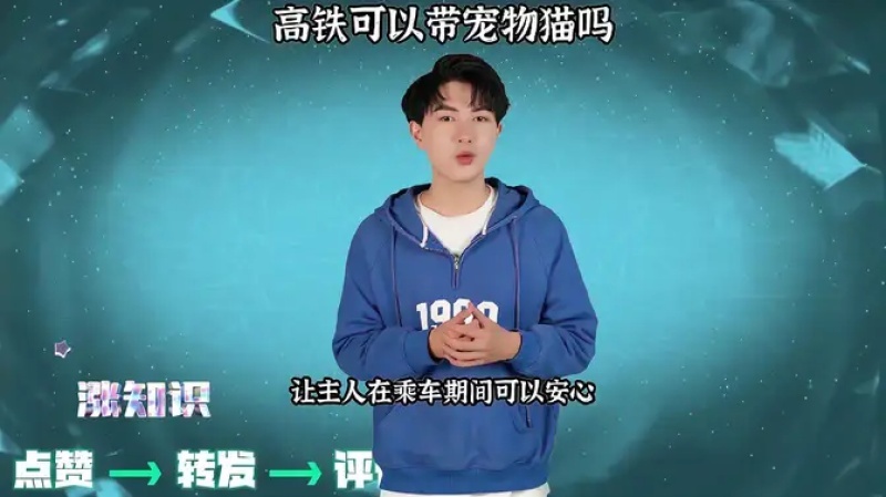 高铁禁止携带宠物猫的合理性与解决方案