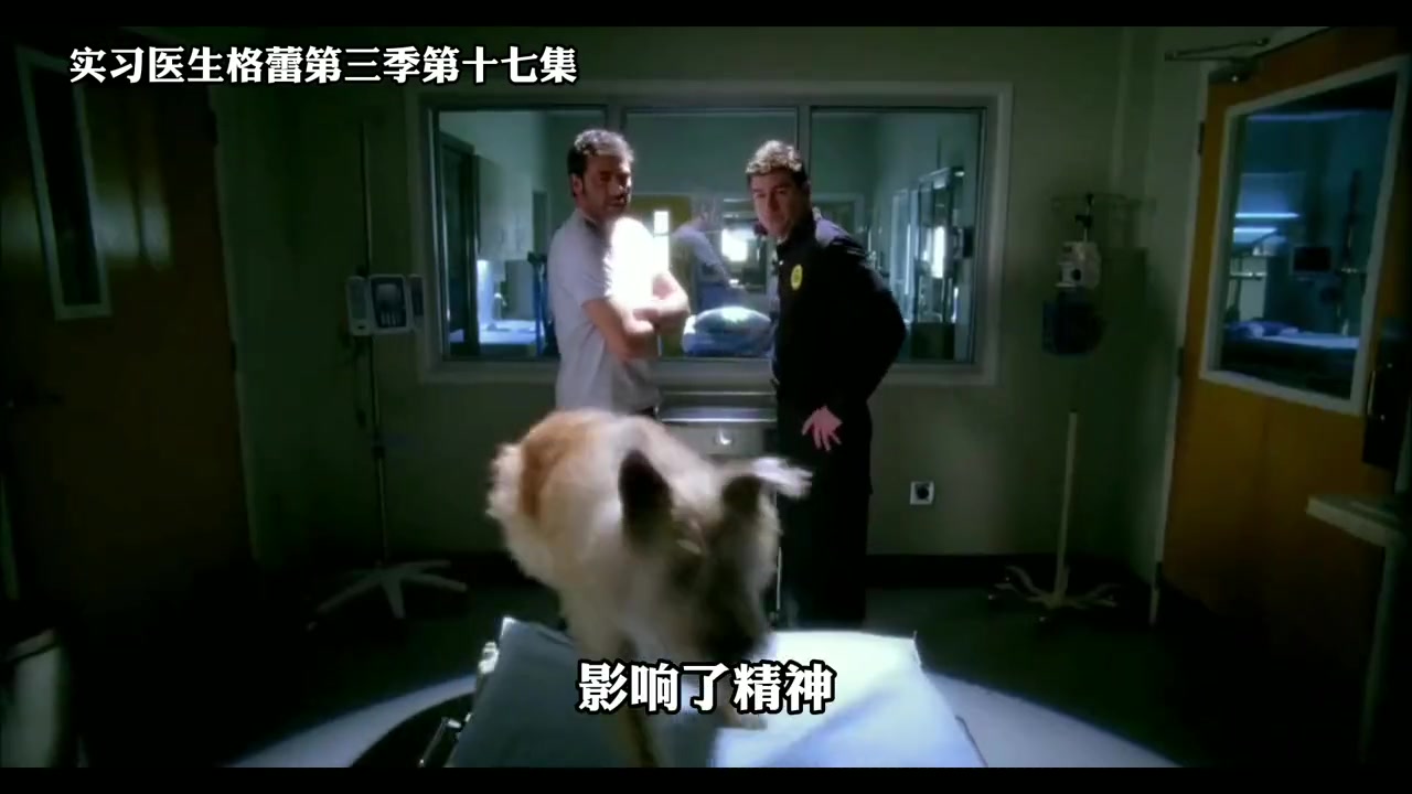 实习医生格蕾:女主角要挂太魔幻,这让后面怎么演?编剧太扯