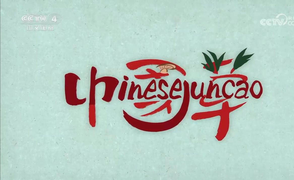【央视】中文国际频道CCTV-4《中国草》