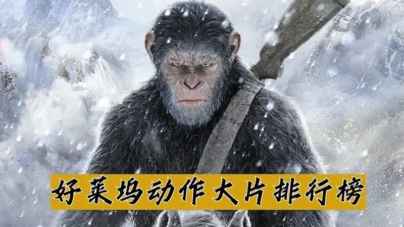 好莱坞动作大片排行榜
