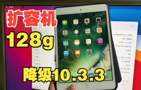 padmini2(扩容机128g)降级到10.3.3 再战3年 一点也不卡顿了