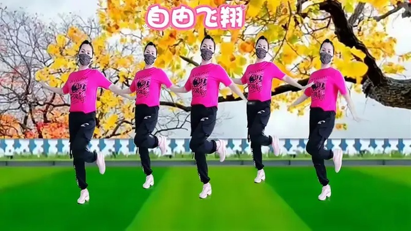 老歌Dj广场舞《自由飞翔》动感时尚,好听又好看