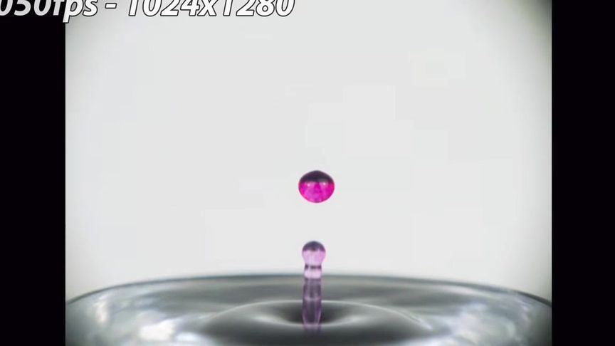 慢镜头:当装满水的气球碰到了一根针,墨水滴到水里